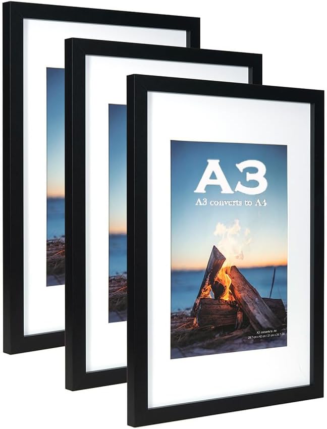 WOPPLXY 4 PCS A3 Black Picture Frames - Aluminum Alloy A3 Photo Frame ...
