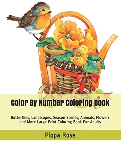 Amazon | Color By Number Coloring Book: Butterflies, Landscapes, Season ...