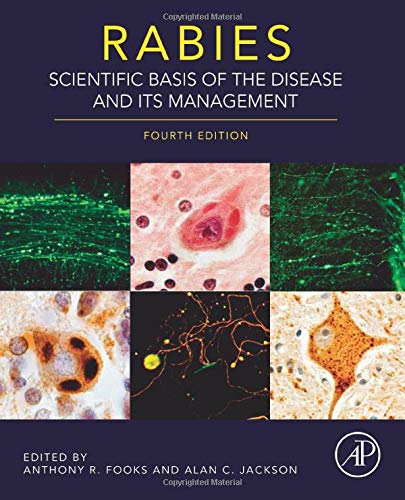 Rabi - Lexikon der Physik