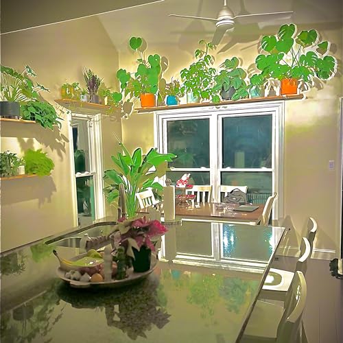 Écouter Instrumentals par Grayson Orr sur Amazon Music Unlimited