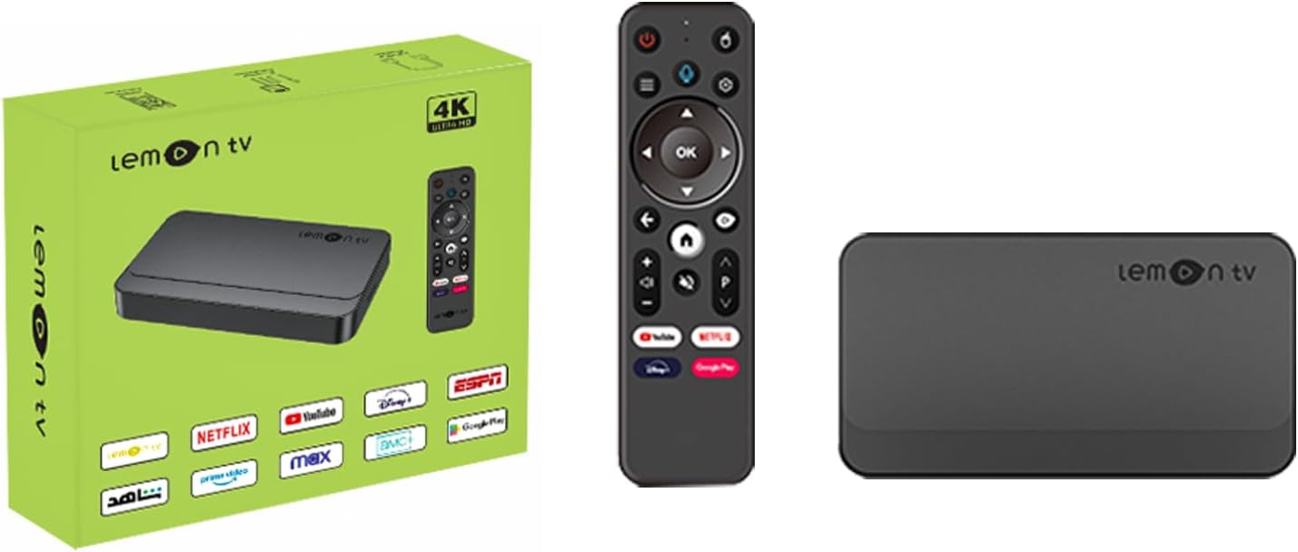 Amazon.com: BOXPUT Lemon L1 TV Box Android 10.0 Allwinner H313 BT5.4 2 ...