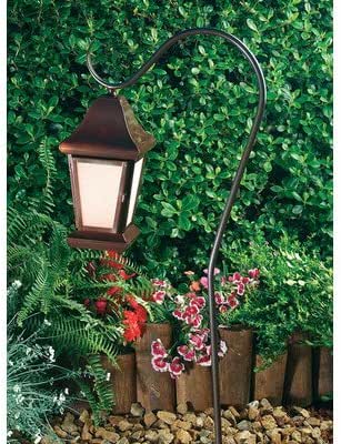 Amazon.com: 1 Light Hanging Lantern Path / Walkway / Area Light Finish ...