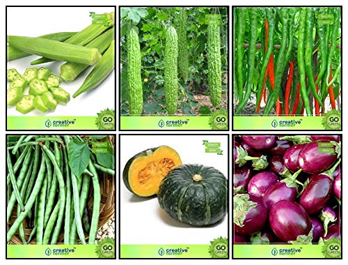 Buy Creative Farmer Plant Gardening Combo Vegetable Seeds : Bhindi ...