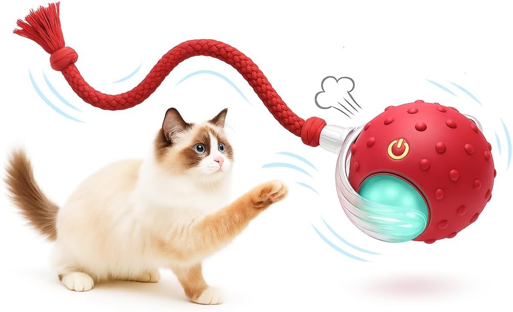 Amazon.com: Outdoll Interactive Cat Toy Ball for Indoor Cats – Fast ...