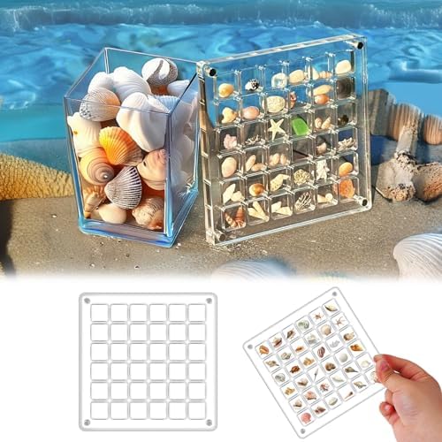 Amazon.com: Seashell Display Case - Large 12 Compartments : Home & Kitchen