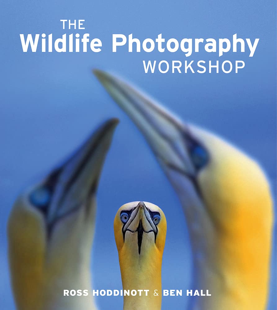 Amazon.com: The Wildlife Photography Workshop: 9781907708572: Hoddinott ...