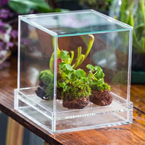 Amazon.com: Large Tabletop Greenhouse House Shape Glass Terrarium ...