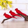 Amazon.com: Alpurple 12 Pcs Artificial Red Cardinal Birds Clip ...