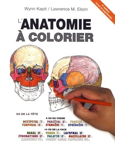 Amazon.fr - Anatomie à colorier, 4e éd. - Kapit, W, Elson, L. M - Livres