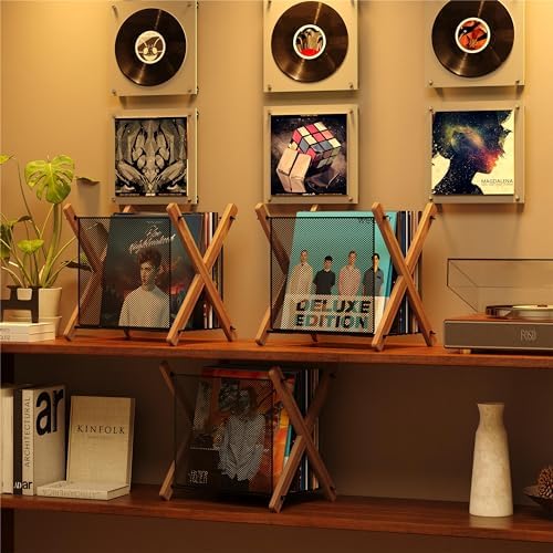 Amazon.com: Vinyl Record Storage Holder Large Capacity LP Records Rack ...