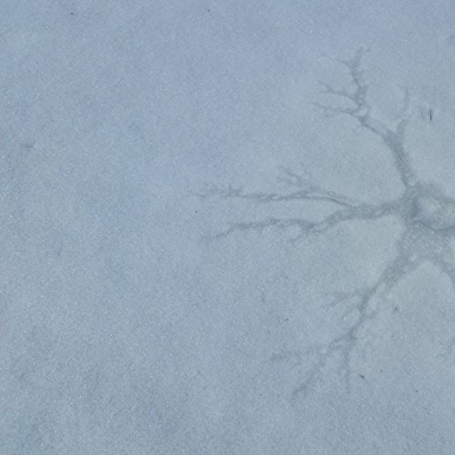 Écouter Scènes par France Jobin sur Amazon Music Unlimited