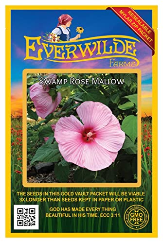 Swamp rose mallow - How to grow & care
