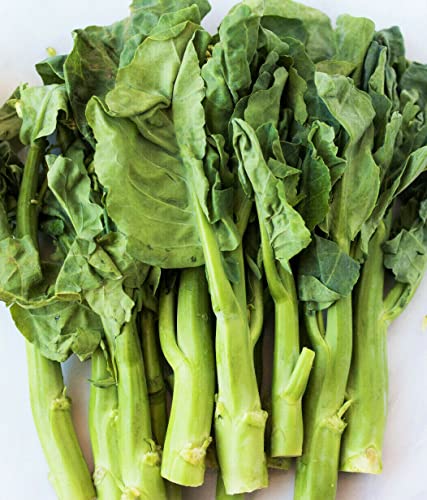 Chinese broccoli - How to grow & care
