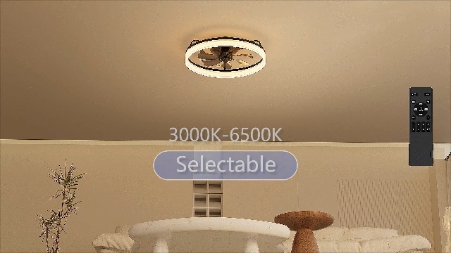 Watch ceiling fans with lights 1138 on Amazon Live