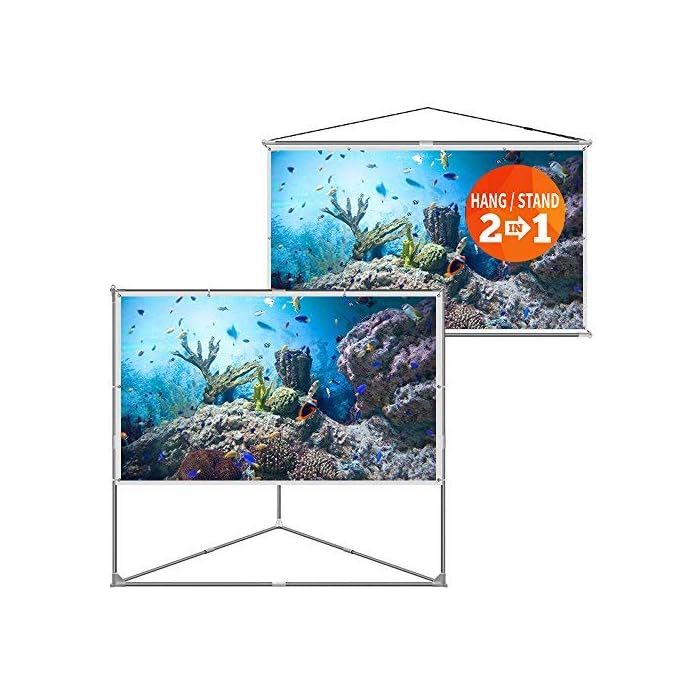 Buy JaeilPLM 100-Inch 2-in-1 Outdoor Indoor Portable Projector Screen ...