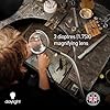 Amazon.com: Daylight Company - Magnificent Pro - Magnifying lamp ...