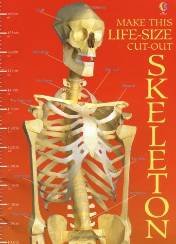 Make This Life-Size Model Cut-out Skeleton (Usborne Cut Outs): Amazon ...