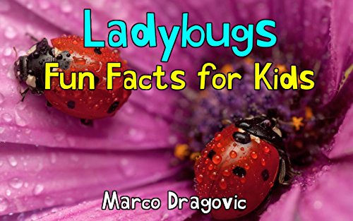Ladybugs: Fun Facts for Kids, Picture Books for Kids eBook : Dragovic ...