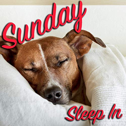 Amazon Music - Various ArtistsのSunday Sleep In - Amazon.co.jp