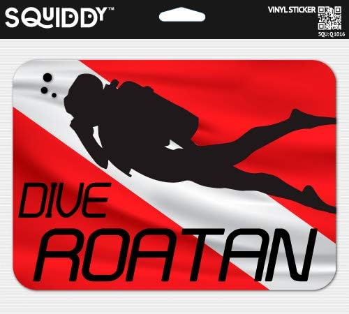 Amazon.com: Squiddy Dive Roatan - Vinyl Sticker Decal for Phone, Laptop ...