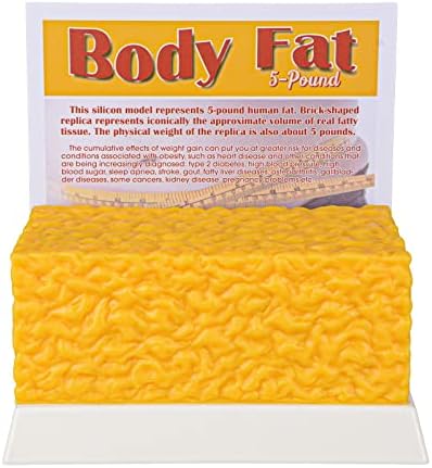 Amazon.com: SimCoach Human Body Fat Replica 5 Lbs, Keep Fit & Weight ...