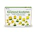 Learning Resources Relational GeoSolids : Amazon.co.uk: Toys & Games