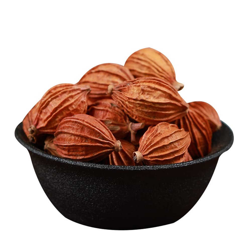 Amazon.co.jp: Amomum Villosum,Fructus Amomi, Amomum,Grain of Paradise ...