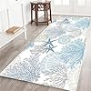 Amazon.com: Beach Coastal Runner Rug for Hallway 2x6 Starfish Ocean ...