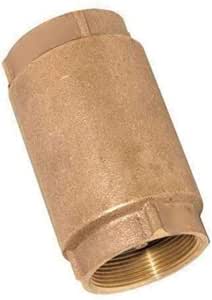 Amazon.com: 1" Bronze Spring Check Valve : Industrial & Scientific