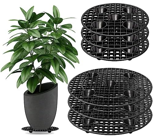 Amazon.com: LipLopBest 8 Pcs Plant Level Pot Elevator , Plant Stands ...
