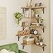 Amazon.com: Fixwal Corner Floating Shelves, Wall Mounted Corner Shelf Set of 5, Rustic Wood Wall ...