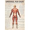 Amazon.com: Massage Therapist Emotional Pain Chart Aluminium Metal Tin ...