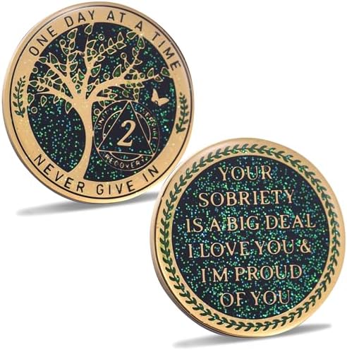 Amazon.com: LParkin 2 Year Sobriety Coin, Tree of Life Recovery Coin ...