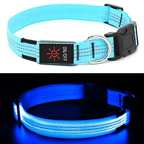 Dog Light Up Collar – The 15 best products compared - Wild Explained