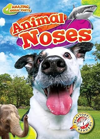 Animal Noses (Amazing Animal Parts): Mari Schuh: 9798886877793: Amazon ...