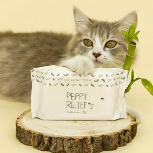 Pet Wipes for Cats, Kittens - Bamboo material, Contains Catnip ...