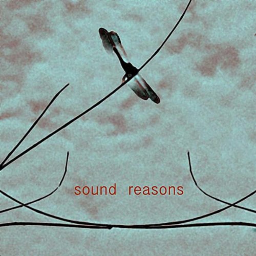 Amazon.com: Sound Reasons (T0) : VARIOUS ARTISTS: Digital Music