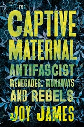 The Captive Maternal: Anti-Fascists in Search of the Beloved - Kindle ...