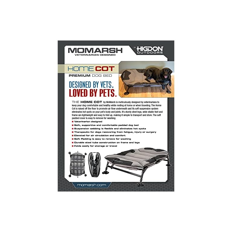 Momarsh Elevated Dog Cot: Ultimate Bed for Pets