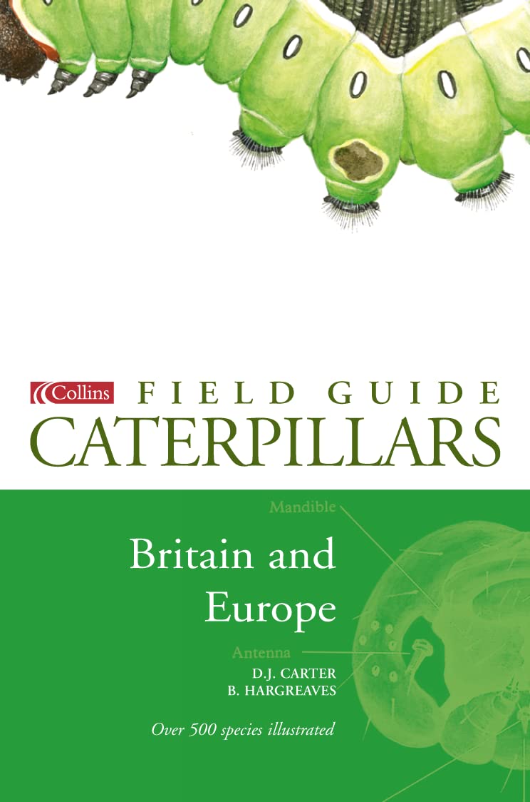 A Field Guide to Caterpillars of Butterflies and Moths in Britain and ...