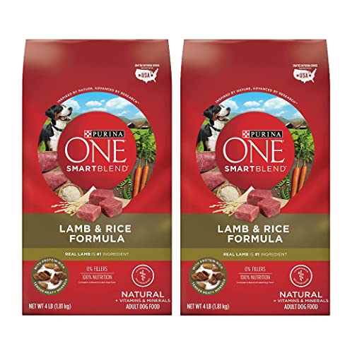 Top 10 Lamb and Rice Dog Foods: Purina One Takes the Crown! - Furry Folly
