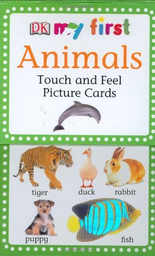 My First Touch & Feel Picture Cards: First Words (MY 1ST T&F PICTURE ...