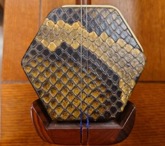 Amazon.com: Dunhuang Yun Rosewood Erhu Chinese 2-string Violin Fiddle ...