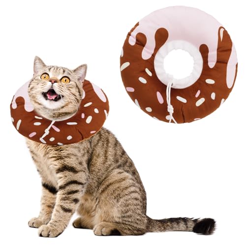 Cat Cones – The 15 best products compared - Wild Explained
