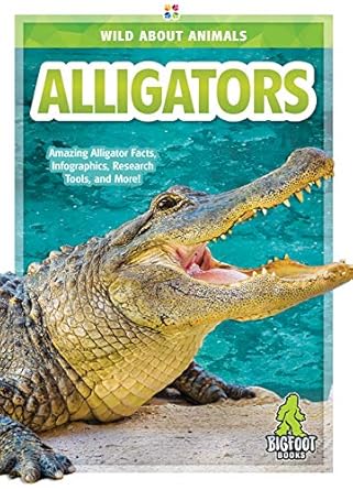 Alligators (Wild about Animals): Martha London: 9781645190004: Amazon ...