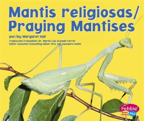 Amazon.com: Praying Mantises (Pebble Plus: Bugs, Bugs, Bugs!): Hall ...