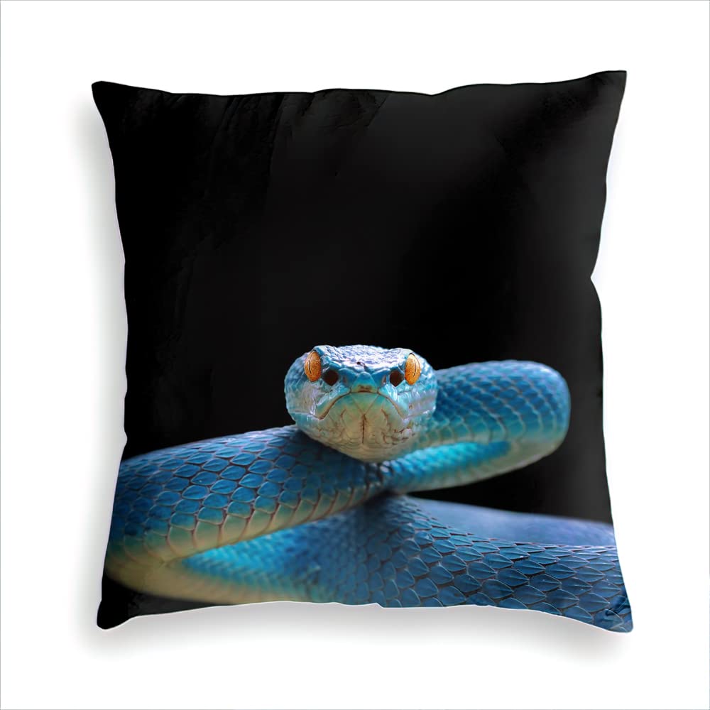 Snake With No Scales