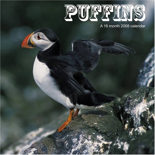 Puffins 2008 Wall Calendar: Magnum Publications: 9781602541306: Amazon ...