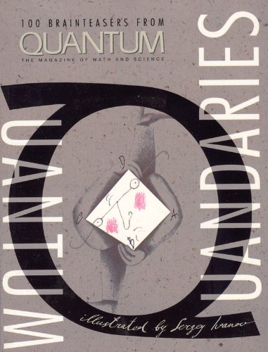 Amazon.com: Quantum Quandaries: 9780873551366: Timothy Weber, Sergey ...