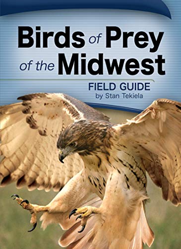 Top Birds of Prey in Ohio: Best Raptors and Bird Watching Spots - Full ...